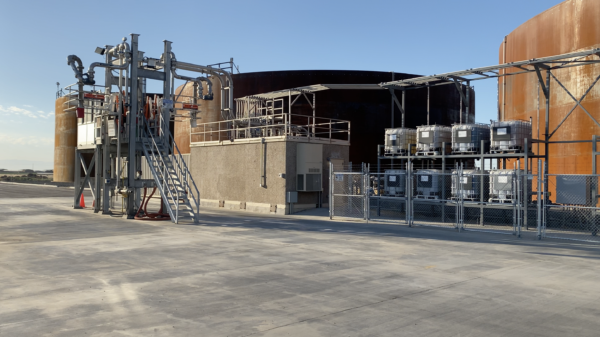 Homepage | Western Milling Agribusiness